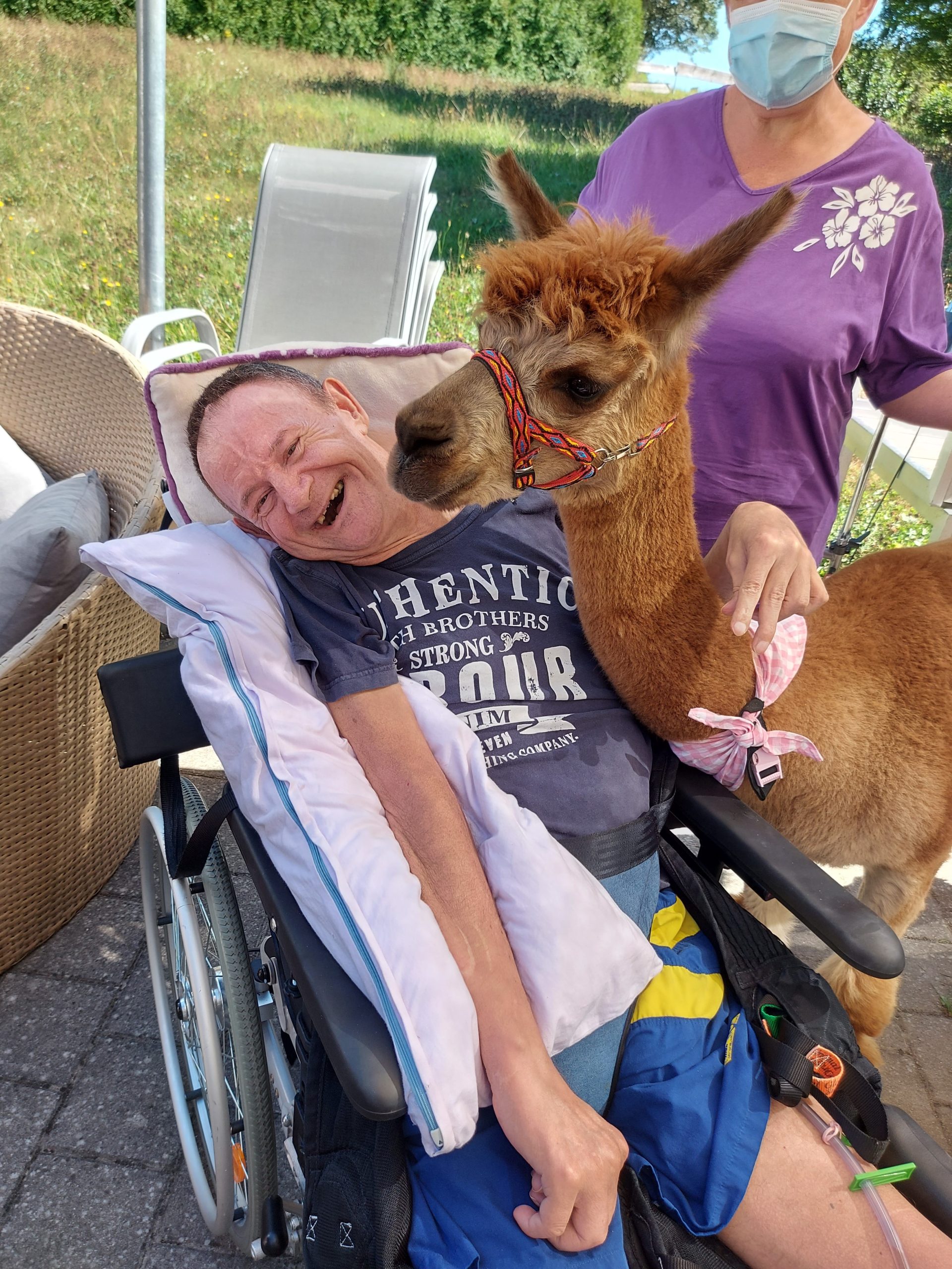 Alpakas in Einrichtungen für körperlich und geistig behinderte Menschen